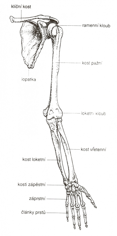 Velkaencyklopedie - Vše, co potřebujete do školy